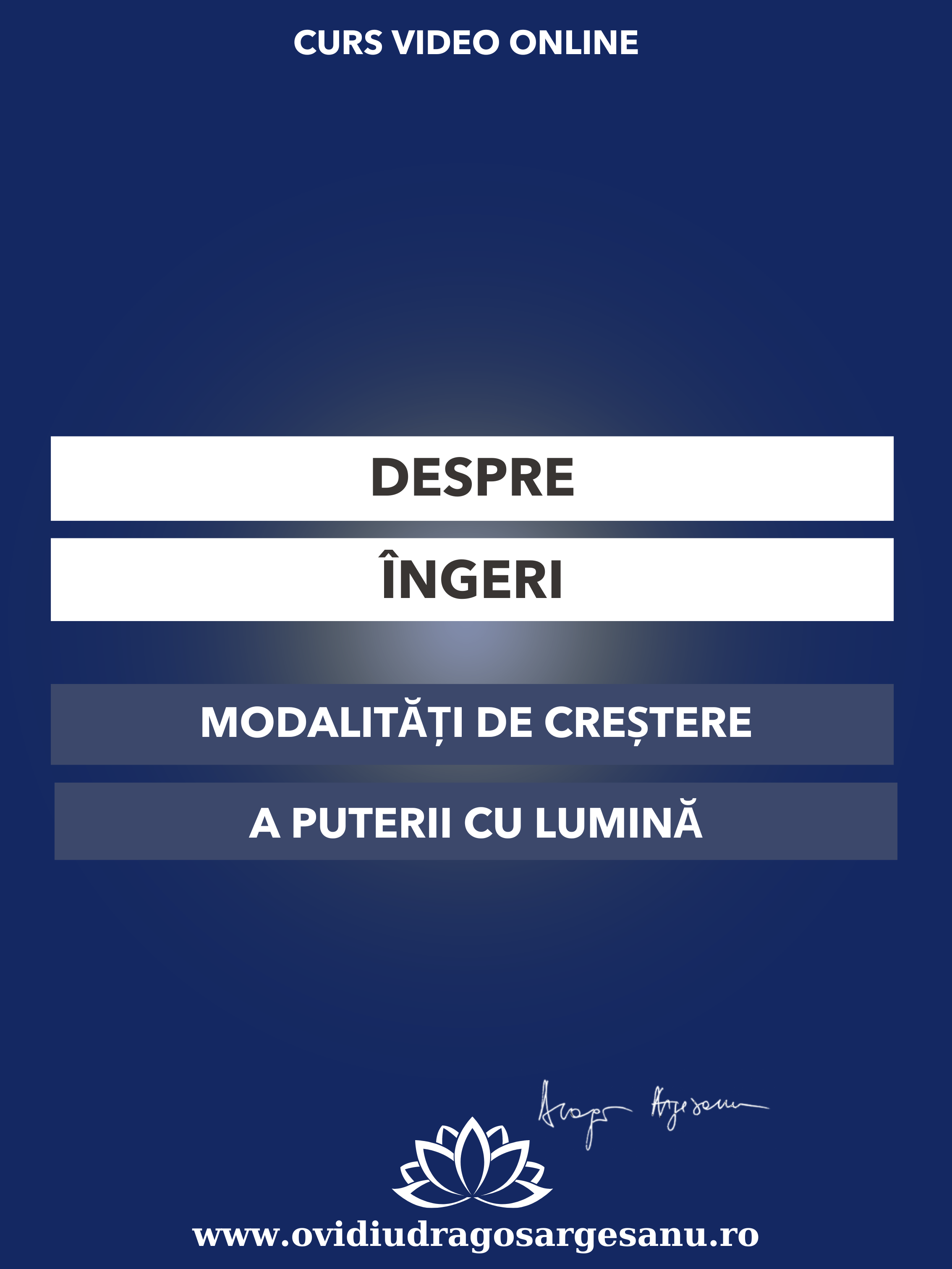 Despre îngeri - Ovidiu Dragoș Argeșanu