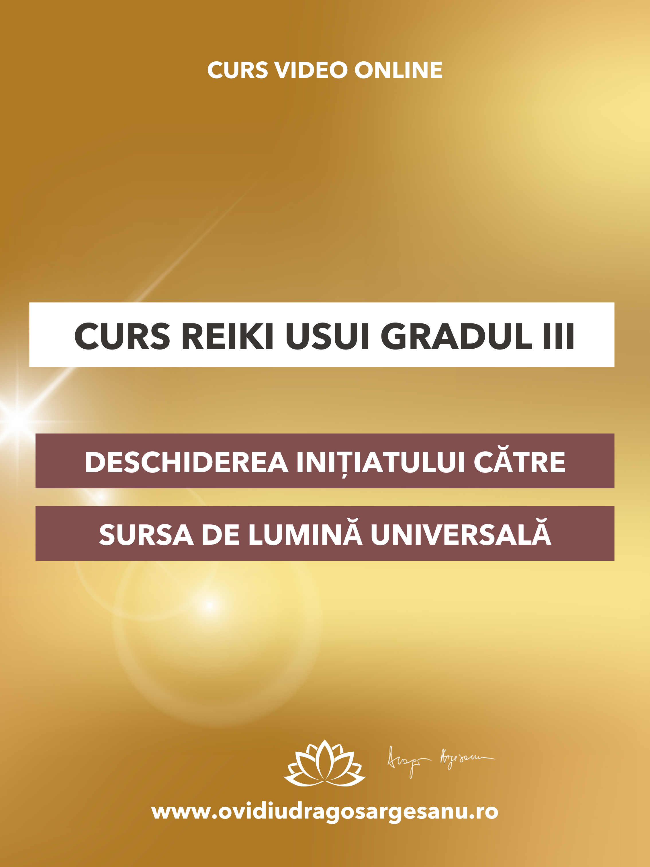 Curs: Reiki Usui Gradul 3 - Bucuresti - acces online - Ovidiu Dragoș ...