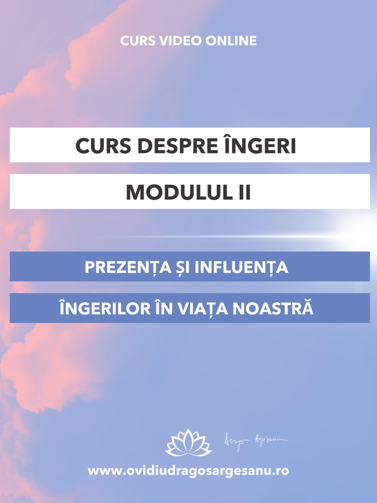 Curs: Despre ingeri - Modulul II - Londra- acces online - Ovidiu Dragoș Argeșanu