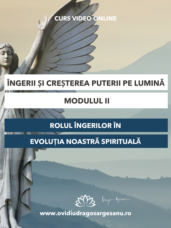 Curs: Ingerii si cresterea puterii pe lumina - Modulul II - Deva - acces online - Ovidiu Dragoș ...