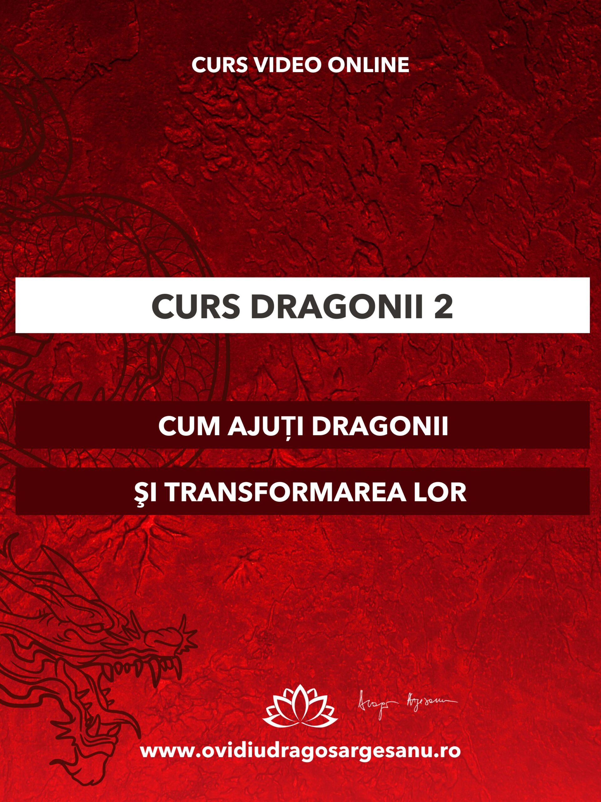 Curs: Dragoni Modulul II - Craiova - acces online - Ovidiu Dragoș Argeșanu